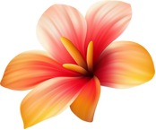 globalsediciones.com